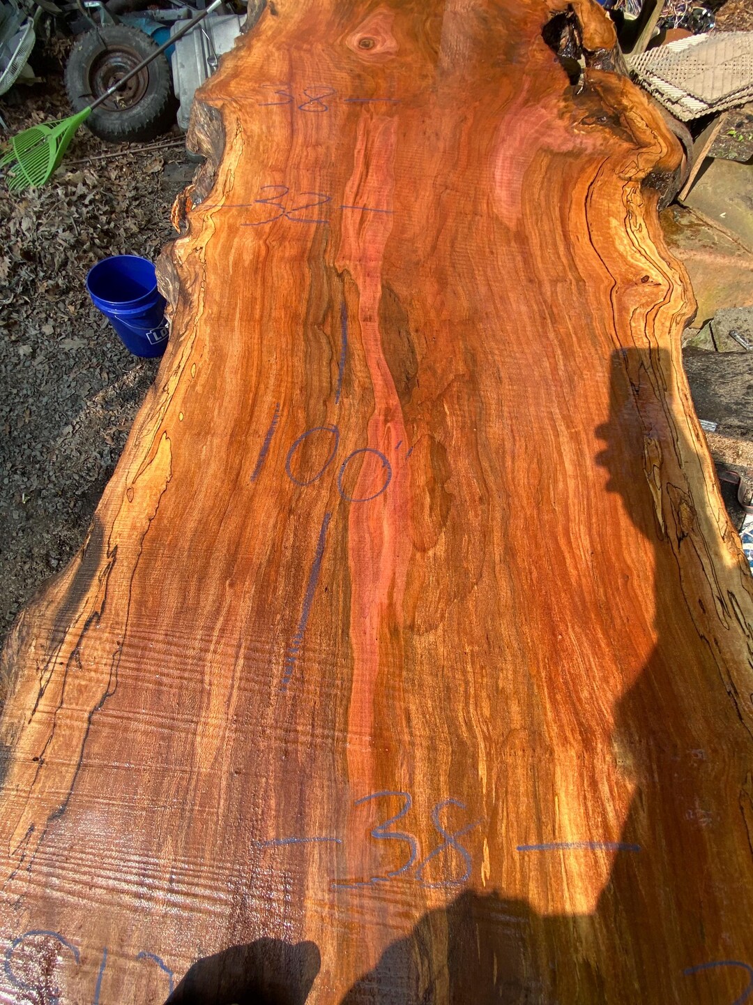 Live Edge Burly Sycamore Slab Highly Figured for Bar Top, Table Top ...