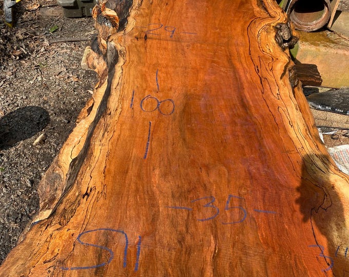 Live Edge Burly Sycamore Slab Highly Figured for Bar Top, Table Top ...