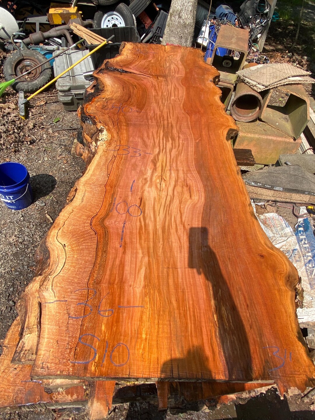 Live Edge Burly Sycamore Slab Highly Figured for Bar Top, Table Top ...
