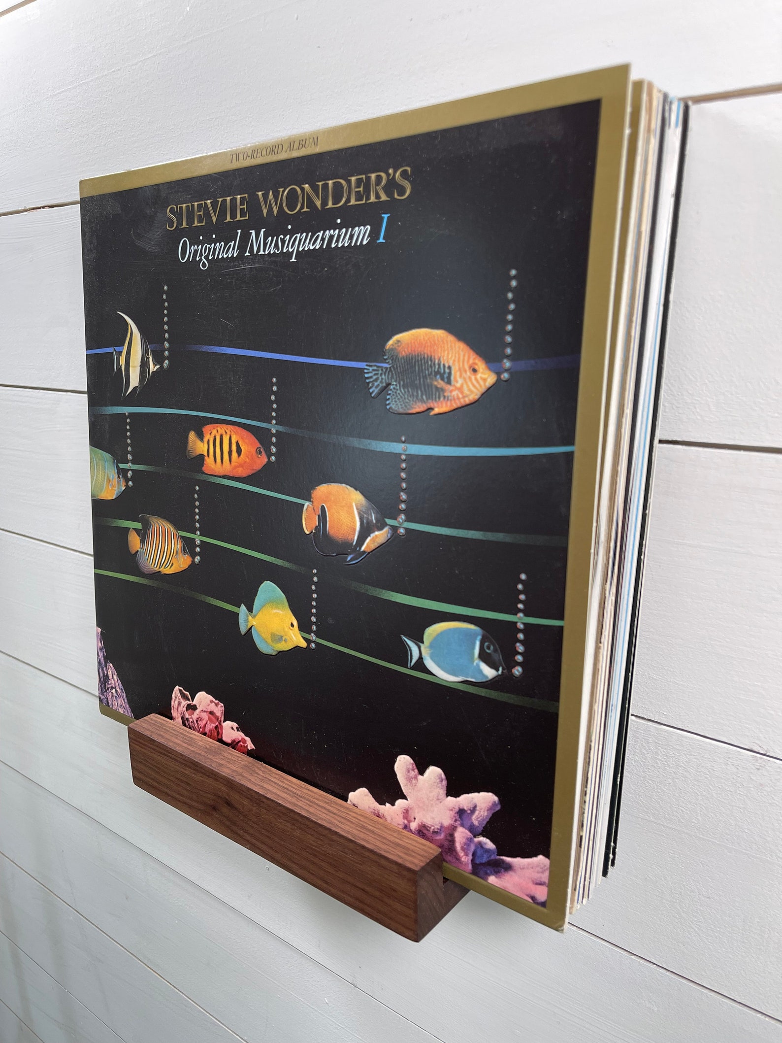 Record Storage Record Display Storage Vinyl Display Storage - Etsy