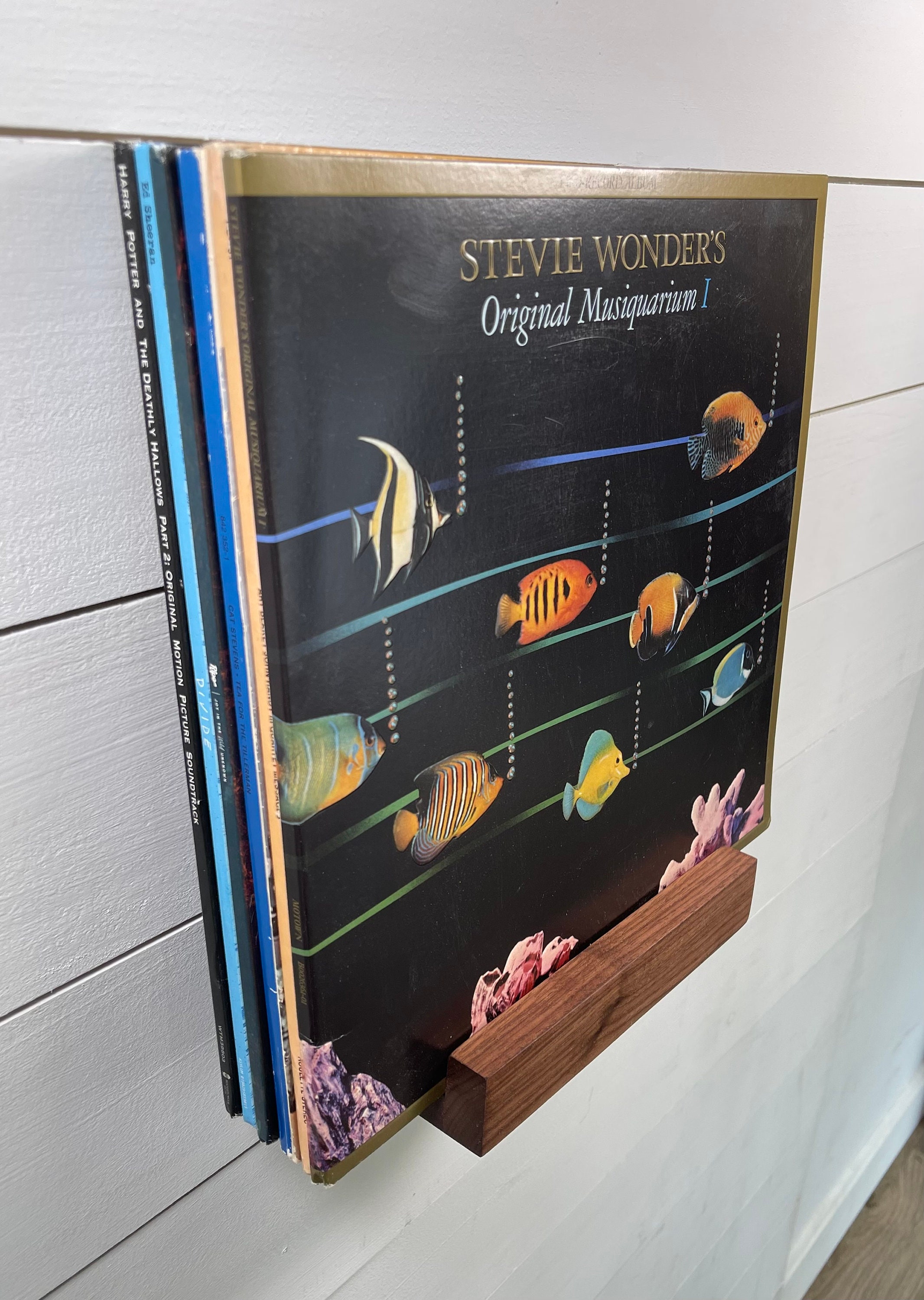 Record Storage Record Display Storage Vinyl Display Storage - Etsy