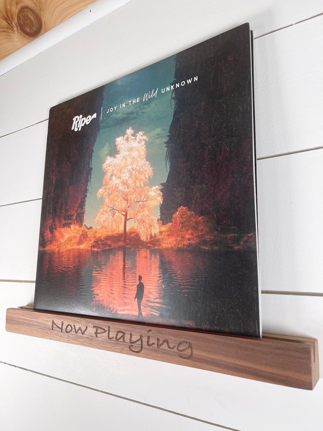 Now Playing Record Display, Vinyl Display, Floating Record Display ...