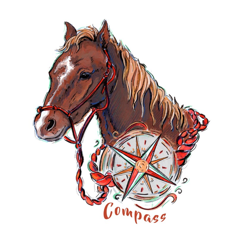 Rescue Horse Compass Illustrated Art Sticker - Etsy