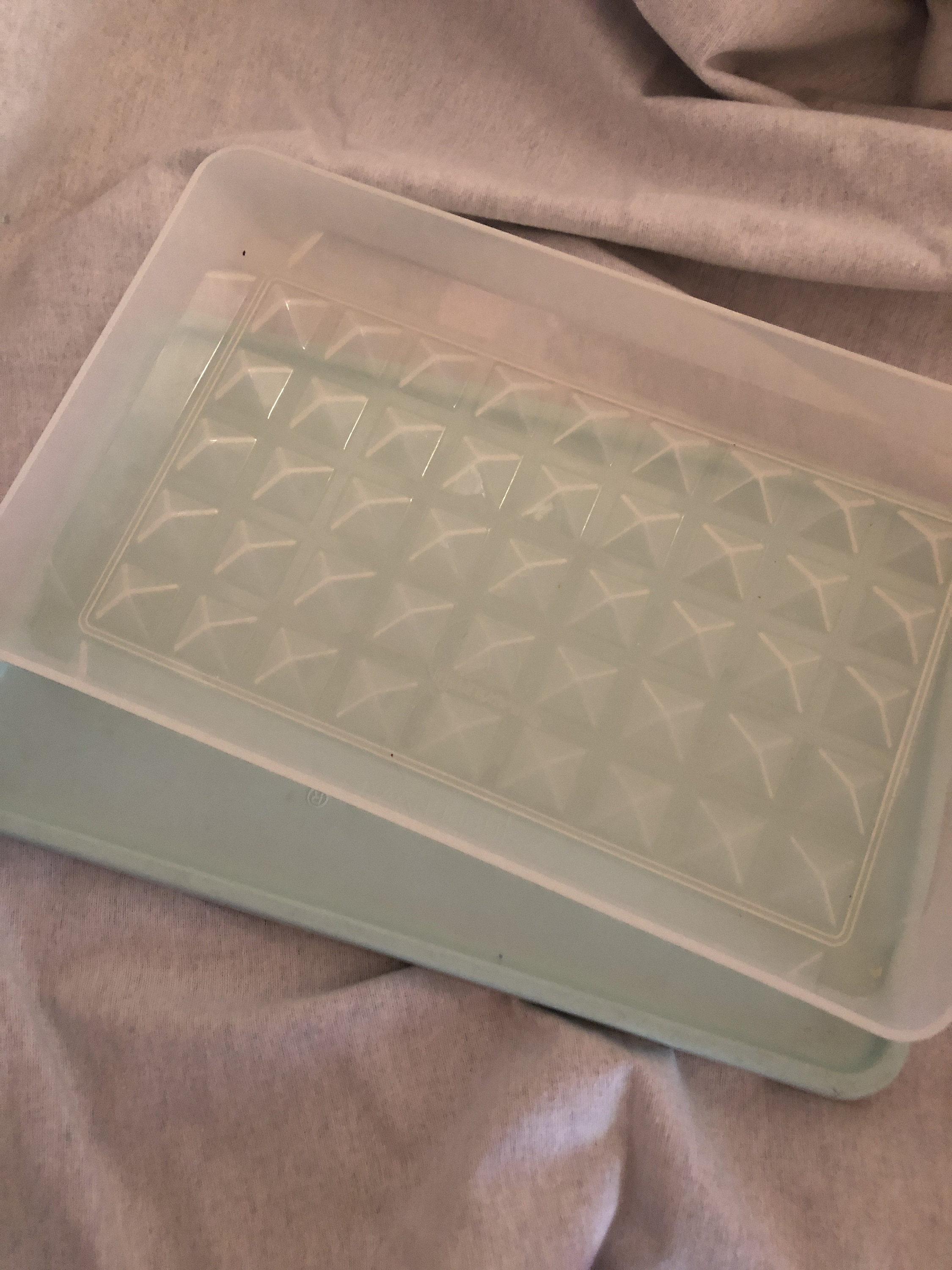 Tupperware Blue Lid, Frosted Container Intended for Hotdogs/wieners ...