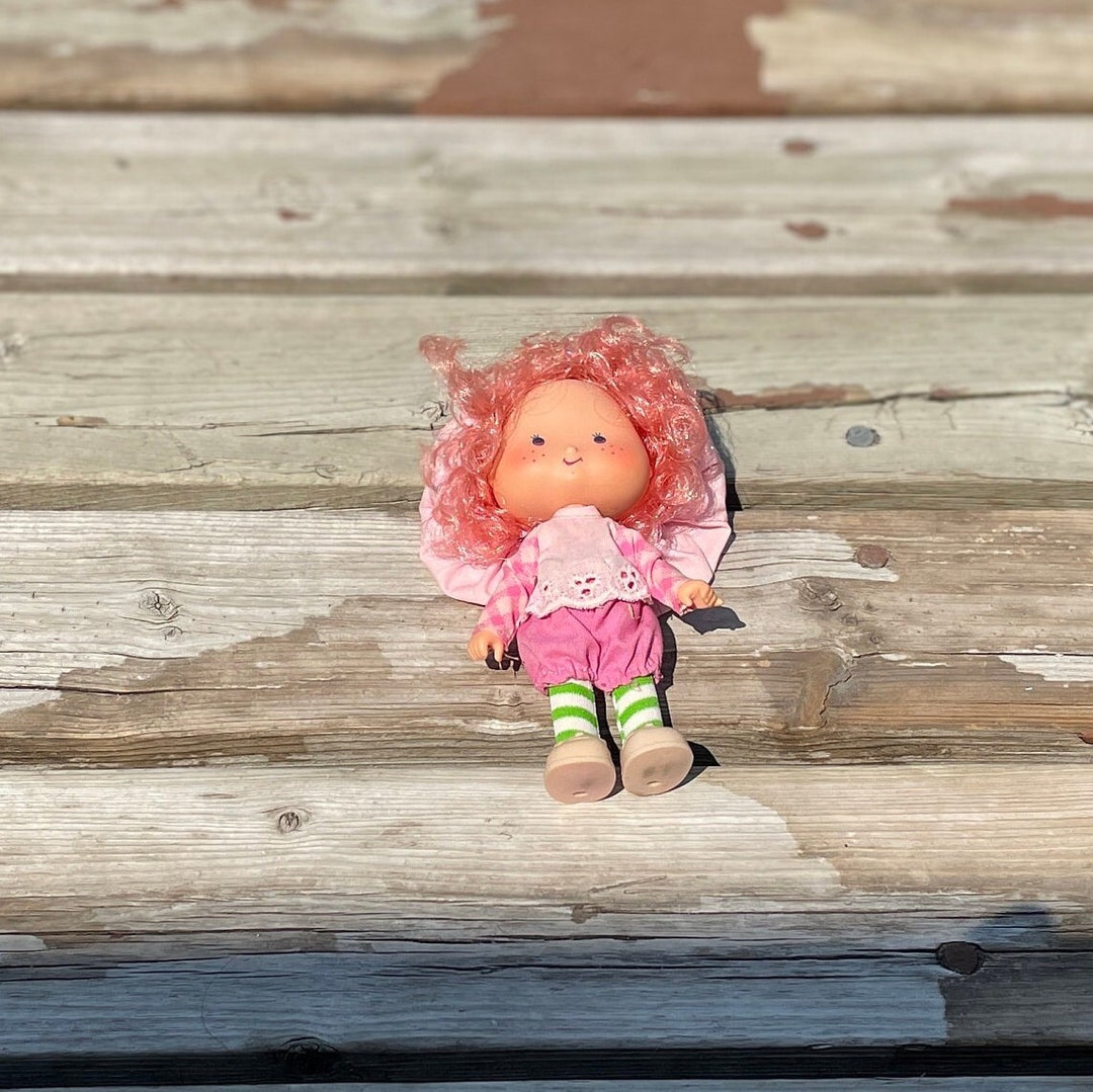 Raspberry Tart Missing Rhubarb Dog, the World of Strawberry Shortcake ...