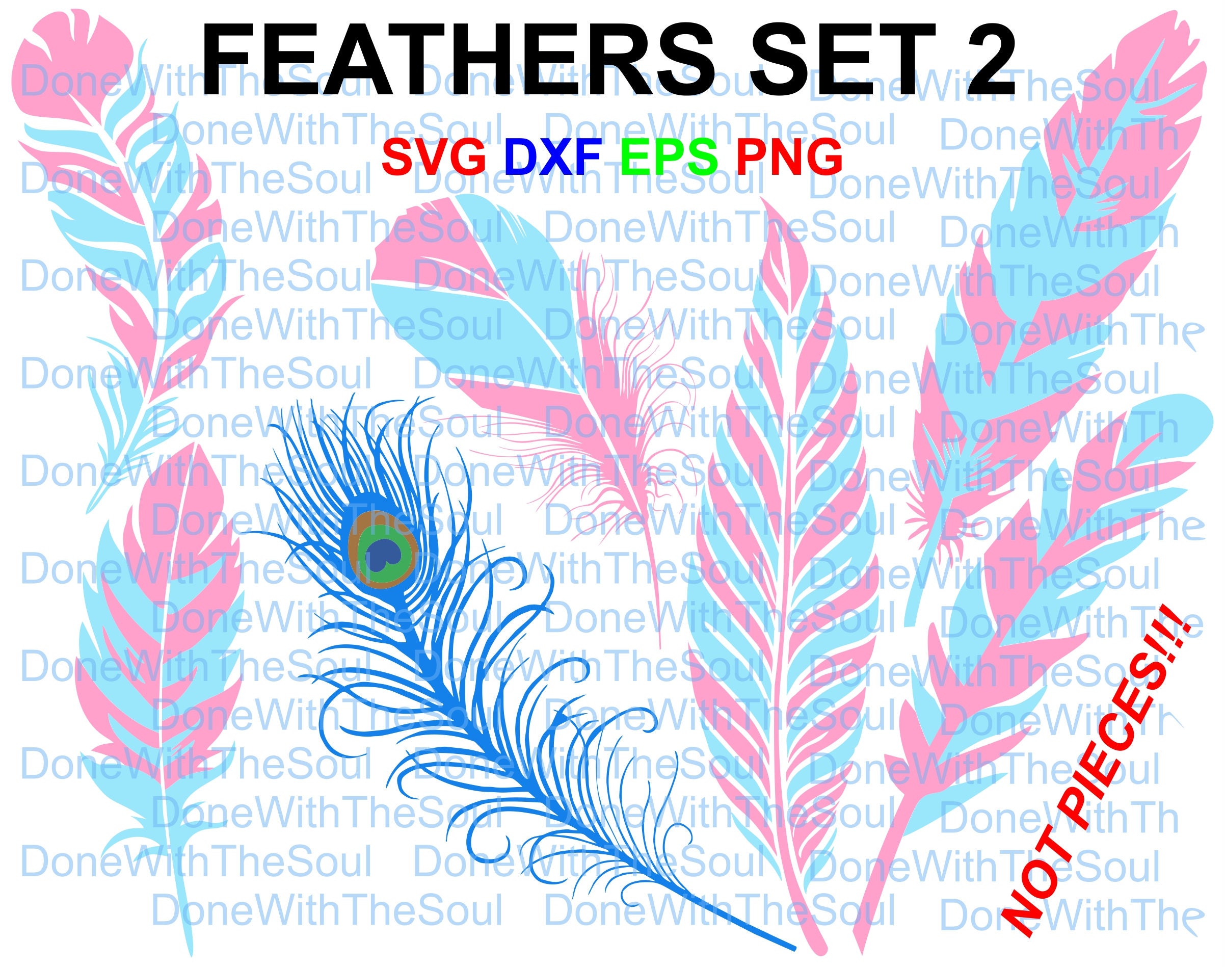 Feather Set 2 Layered color Feather svg Feather clipart | Etsy