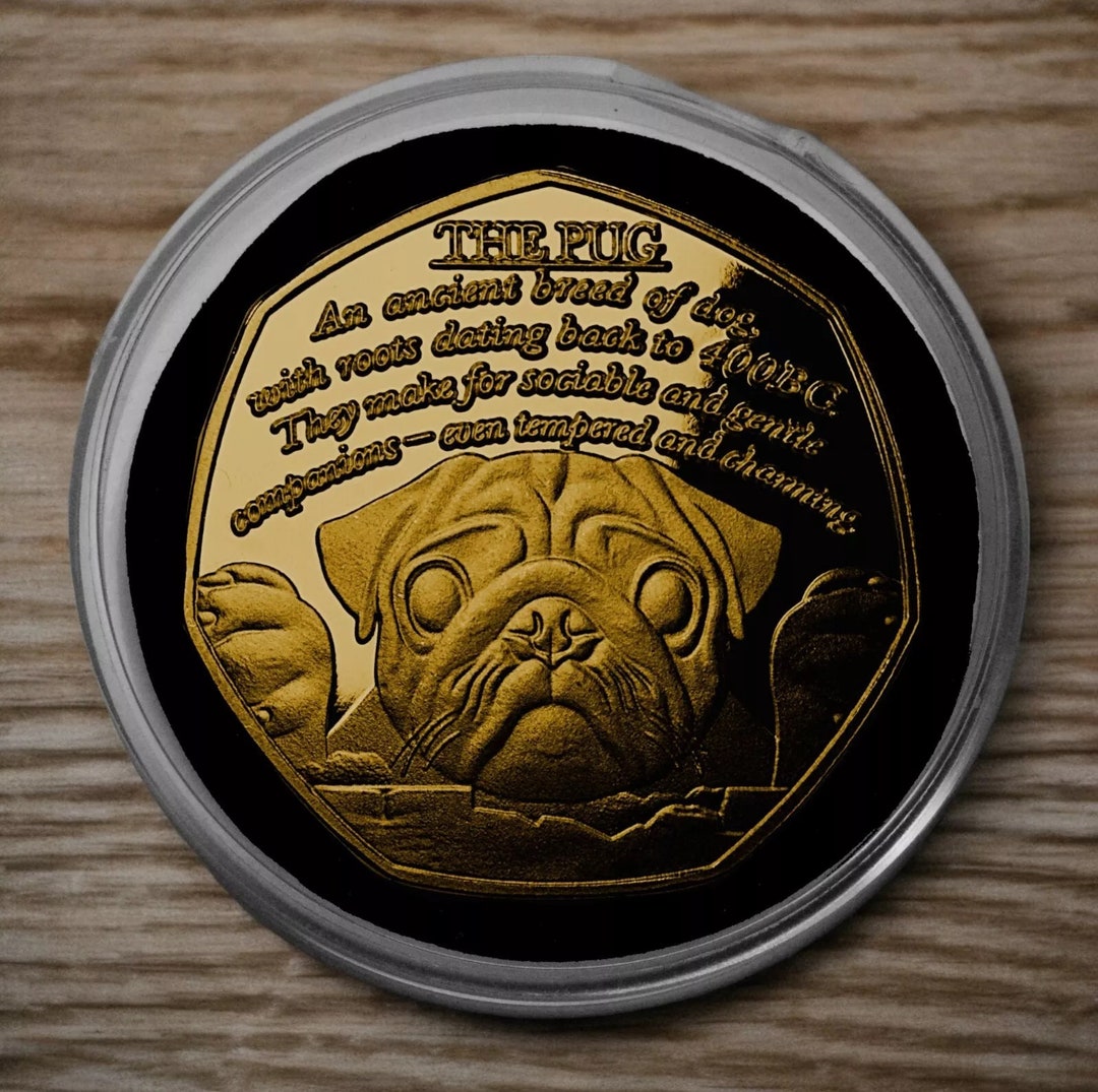 Brand New 'THE PUG' 24ct Gold Commemorative Coin in Capsule. Pug Lover ...