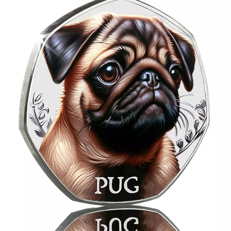 Money Money Pug - Etsy