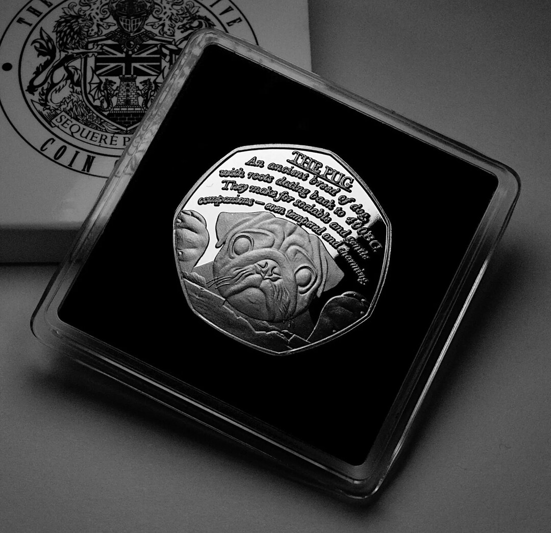 Brand New 'THE PUG' Silver Commemorative Coin in Gift Case. Favourite ...