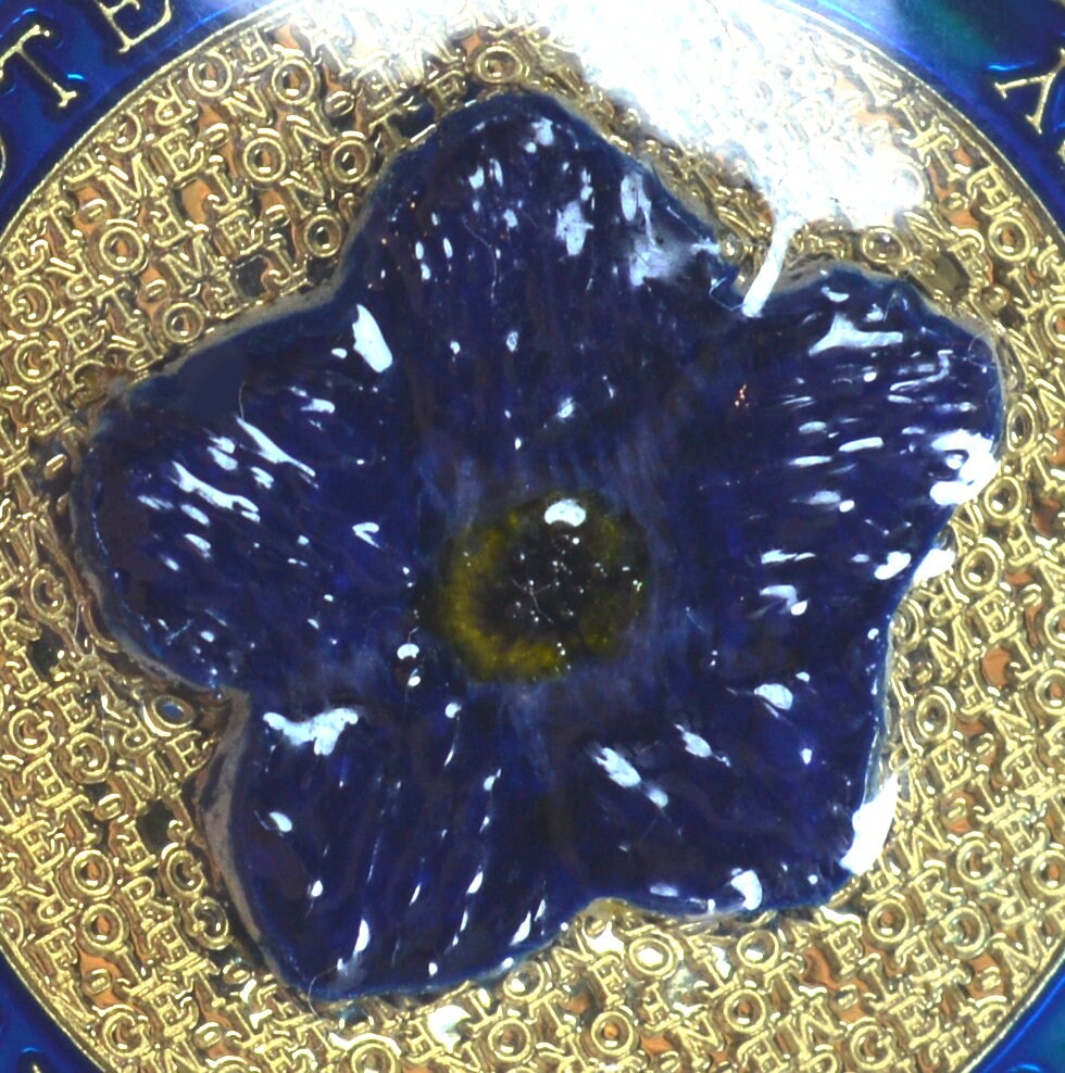 Masonic Forget-me-not 24ct Gold Commemorative With Blue Enamel and ...
