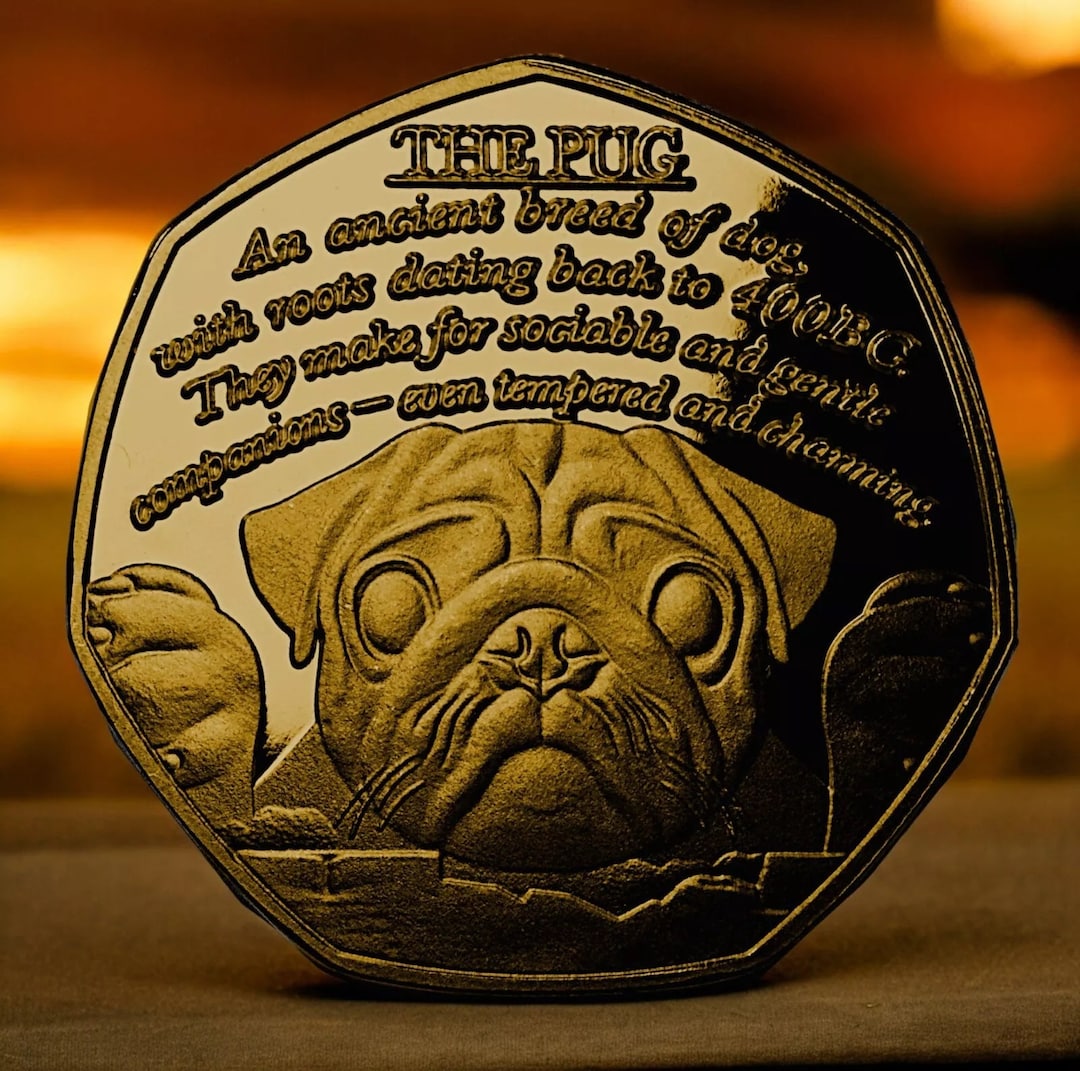Brand New 'THE PUG' 24ct Gold Commemorative Coin. Pug Lover. Favourite Dogs Series. Puppy/pup ...