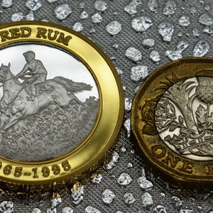 RED RUM 'dual Metal' Silver and 24ct Gold Commemorative Coin in Gift ...