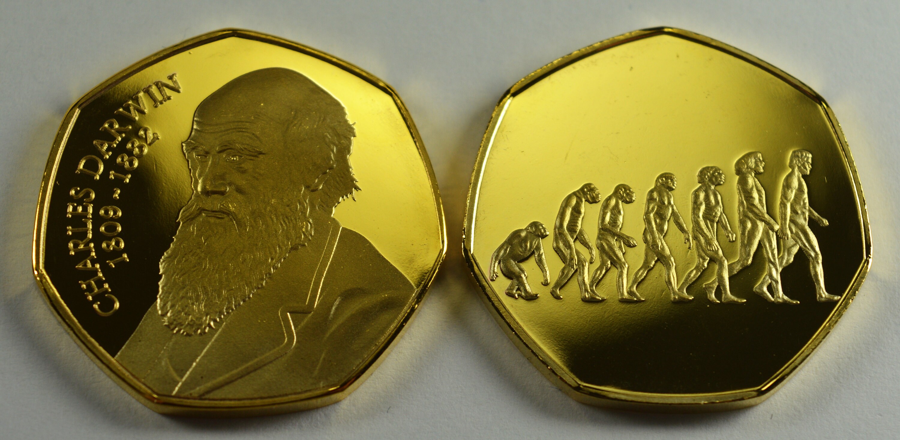 Pair of Charles Darwin Silver & 24ct Gold Commemorative Coins - Etsy
