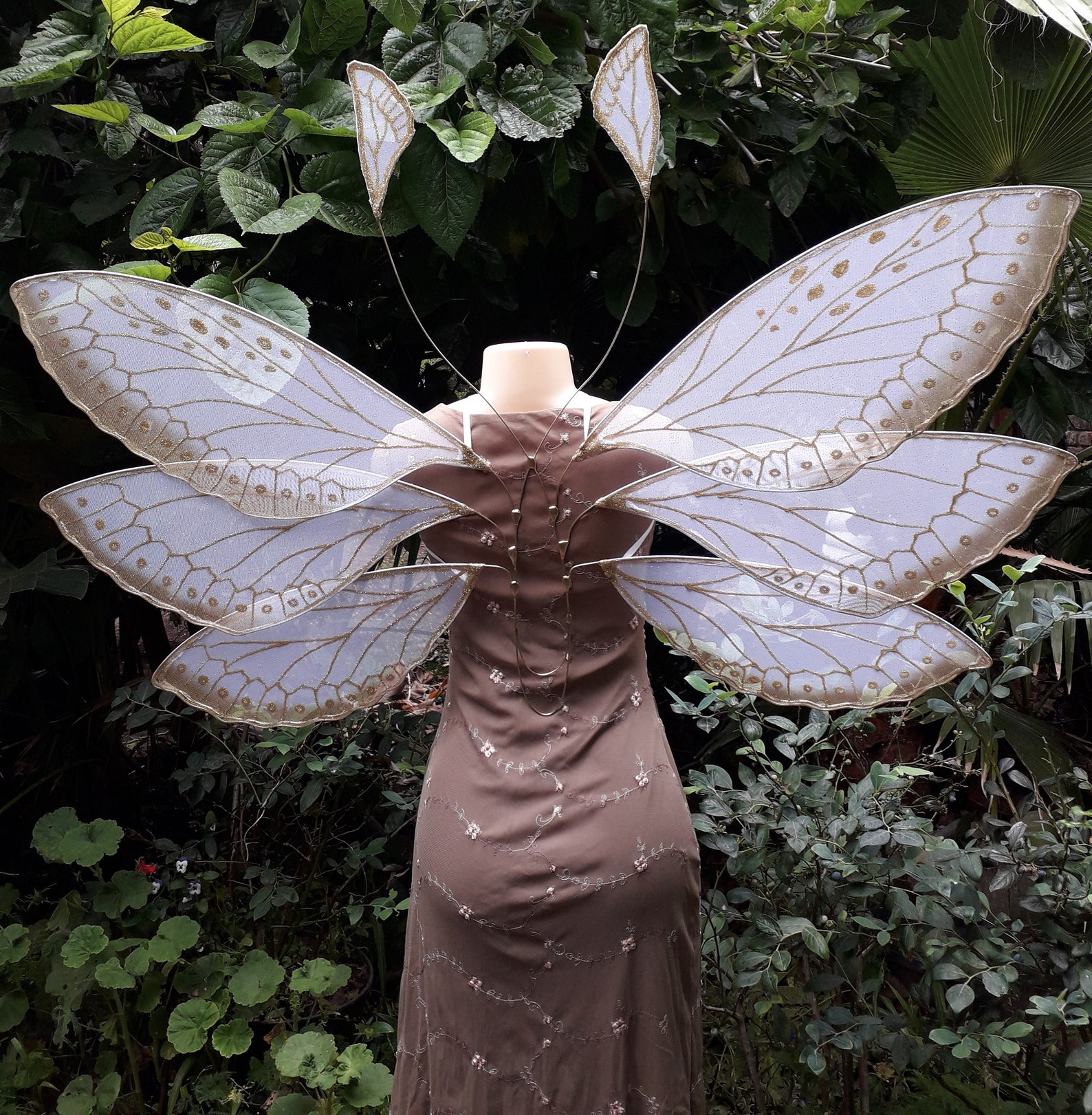 NEW Extra Large Cicada Fairy Wings for Adults, Elf Wings, Pixie Wings ...