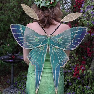 Luna Moon Moth Fairy Wings With Moth Antennae in Medium Size, Moon Moth ...