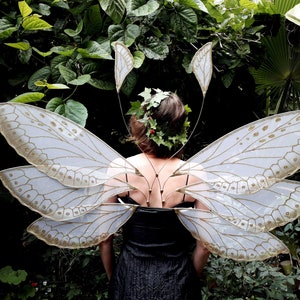 NEW!! Extra Large Cicada Fairy Wings for Adults, Elf Wings, Pixie Wings ...