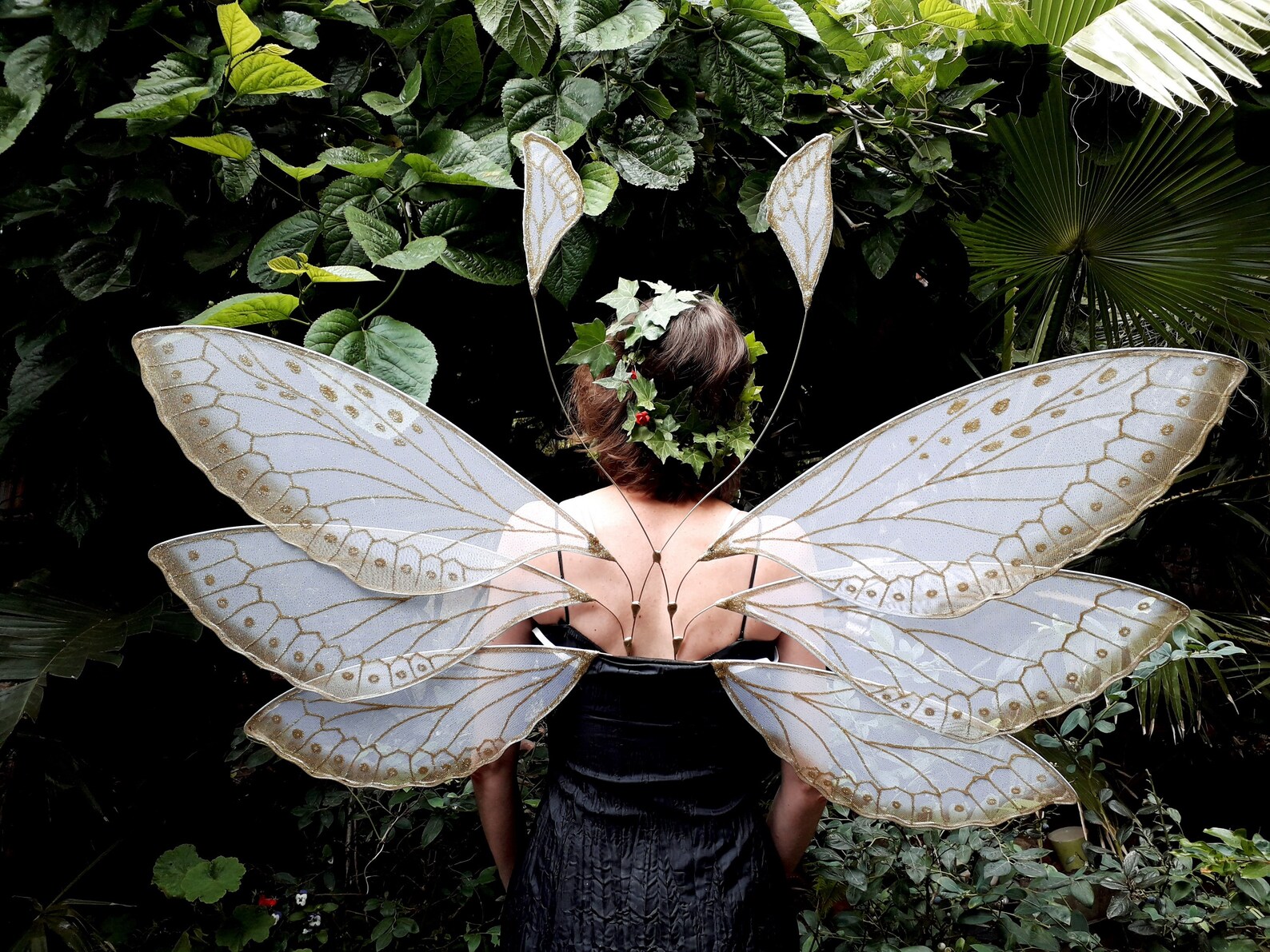 NEW Extra Large Cicada Fairy Wings for Adults, Elf Wings, Pixie Wings ...