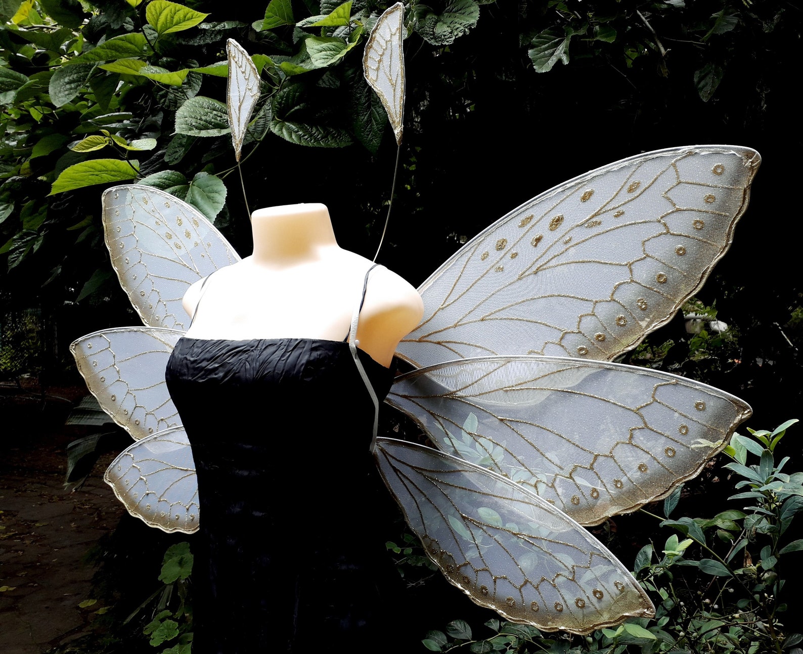NEW Extra Large Cicada Fairy Wings for Adults, Elf Wings, Pixie Wings ...