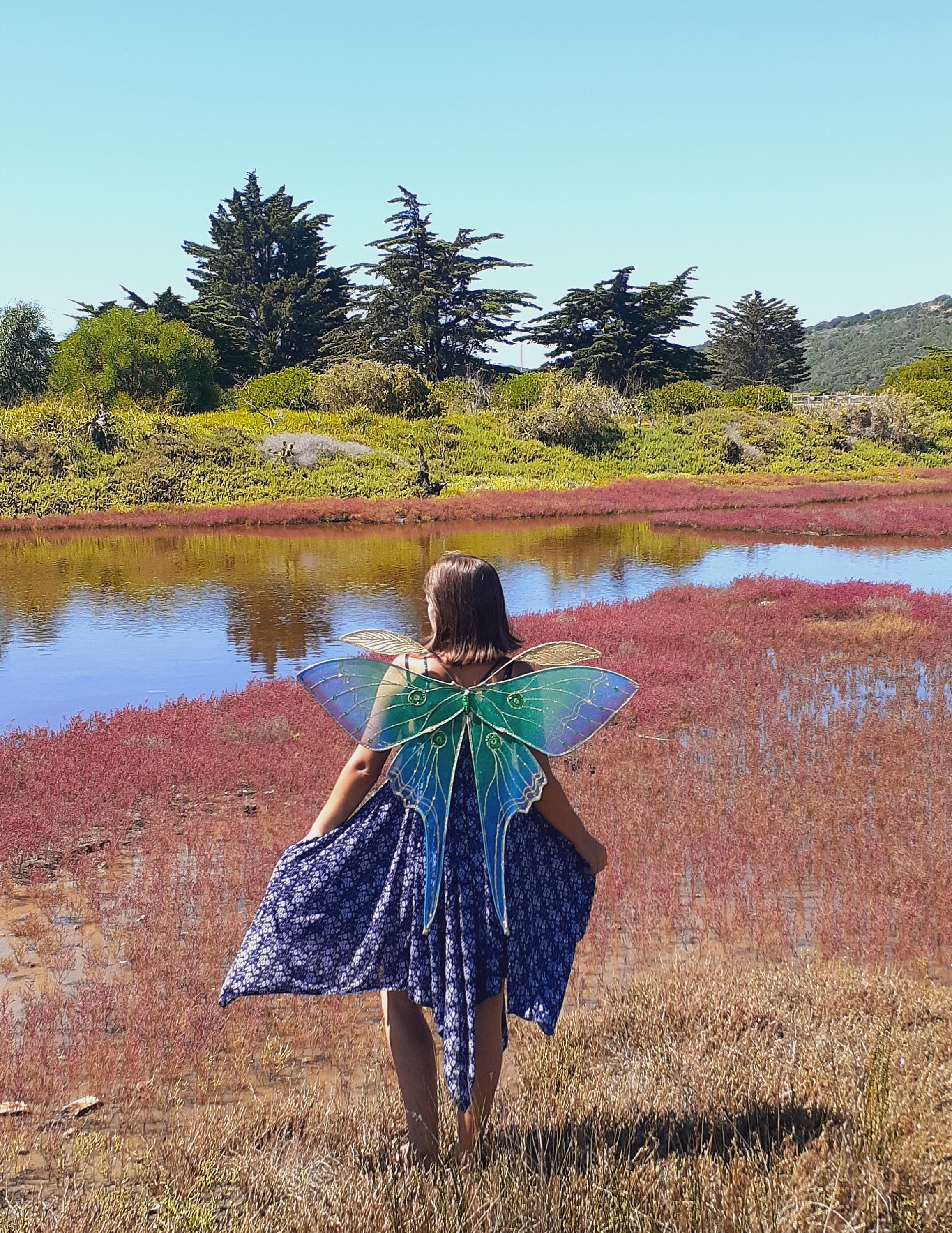Luna Moon Moth Inspired Fairy Wings With Antennae: Adult Fairy Costume ...