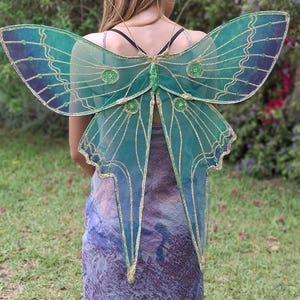 Luna Moon Moth Fairy Wings With Moth Antennae in Medium Size, Moon Moth ...