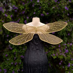 Golden Dragonfly Wings: Adults or Children| Fairy Costume | Damselfly ...