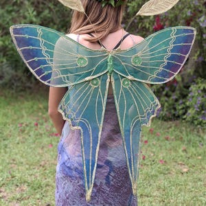 Luna Moon Moth Fairy Wings With Moth Antennae in Medium Size, Moon Moth ...