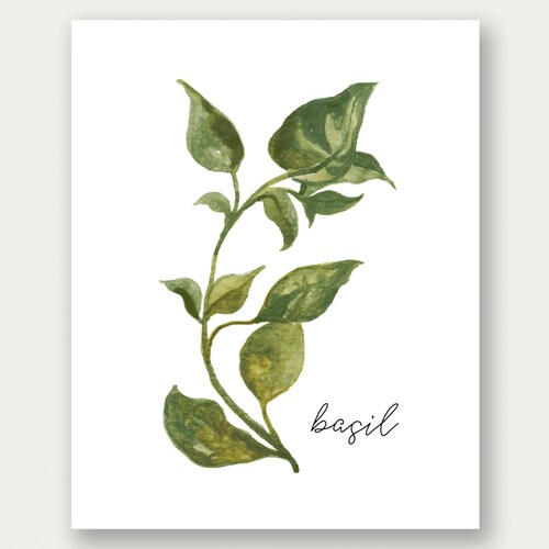 Herbs Printable Basil Printable Herbs Wall Art Herbs Print - Etsy