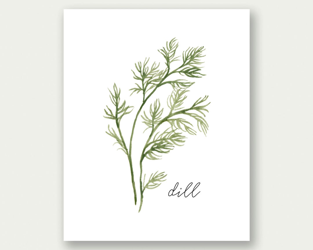 Herbs Printable, Dill Printable, Herbs Wall Art, Herbs Print, Dill Art ...