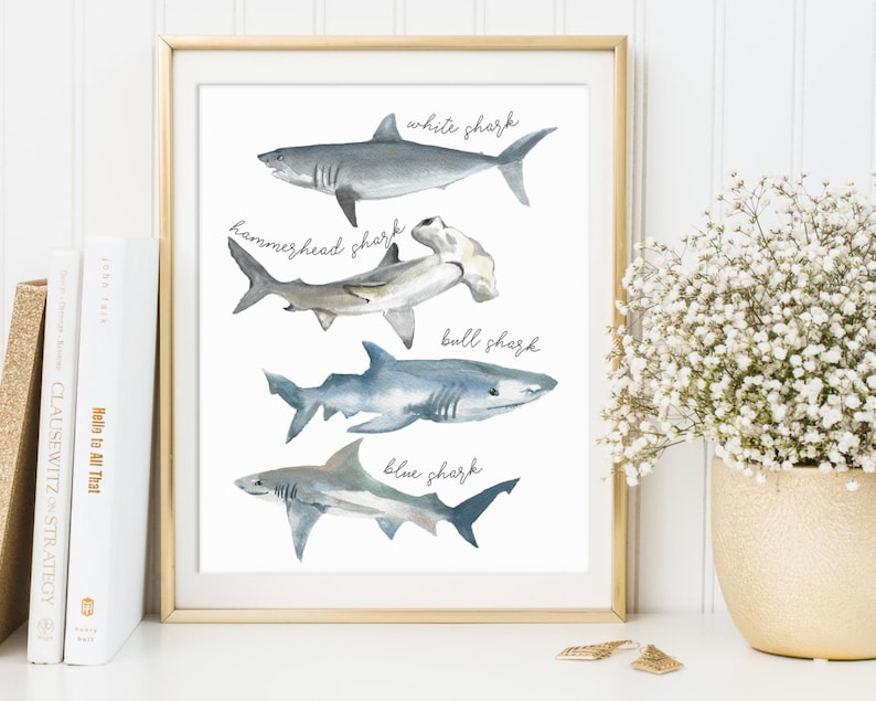 Shark Poster Shark Print Shark Species Watercolor Sharks - Etsy
