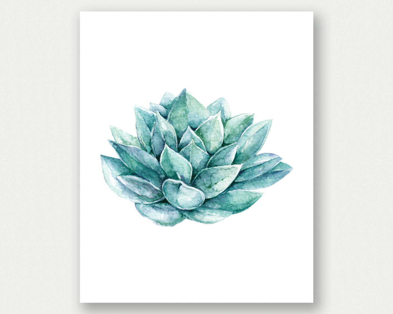 Succulent Prints Succulent Print Set Succulent Printable - Etsy