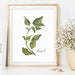 Herbs Printable, Basil Printable, Herbs Wall Art, Herbs Print, Basil ...