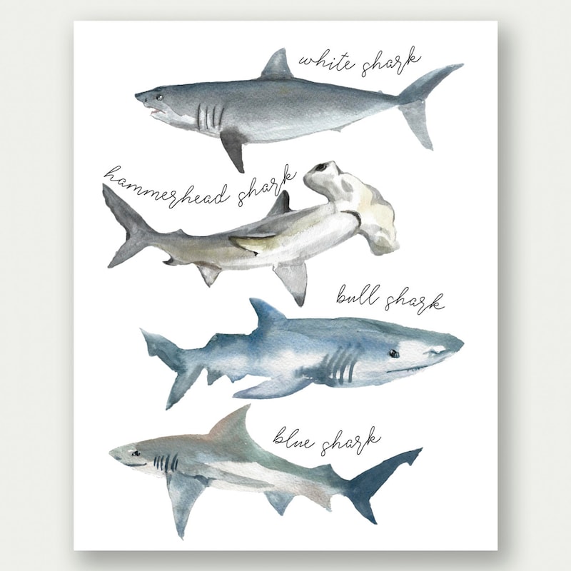 Shark Prints - Etsy