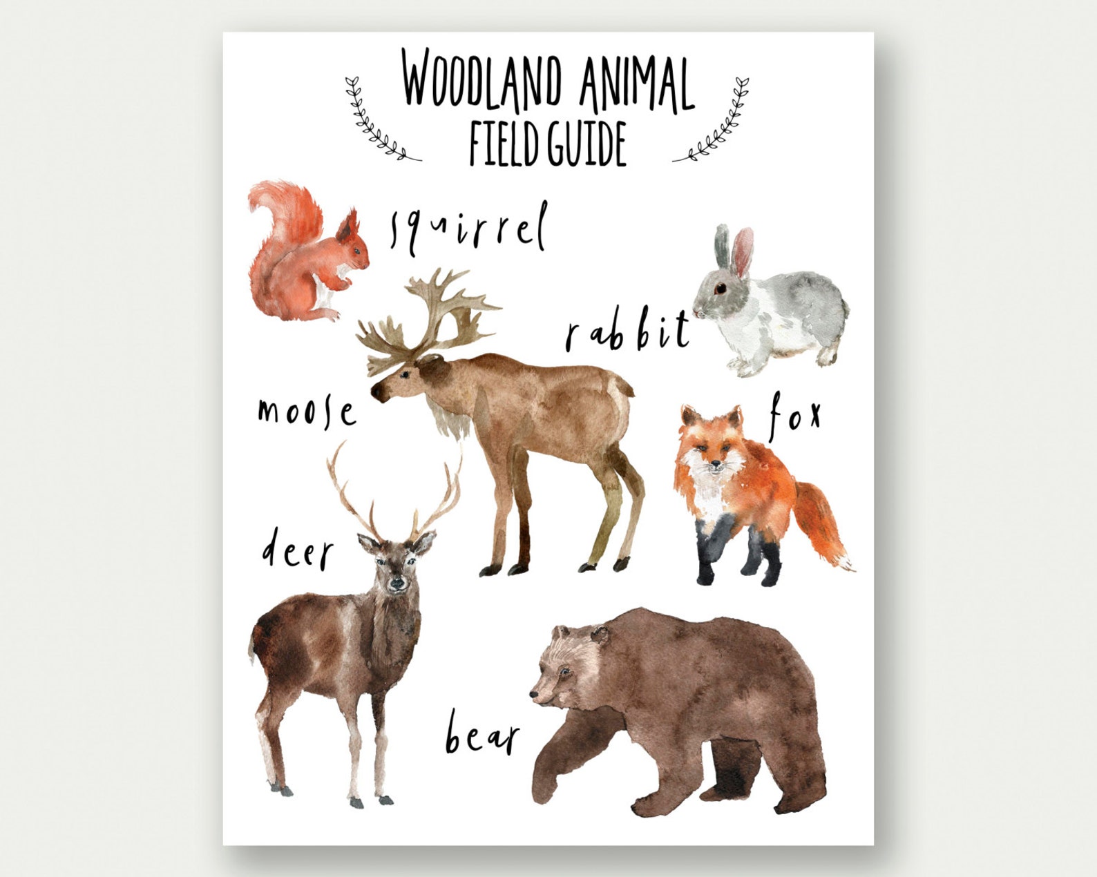 Woodland Animal Print Field Guide Nursery Decor Baby Boy - Etsy