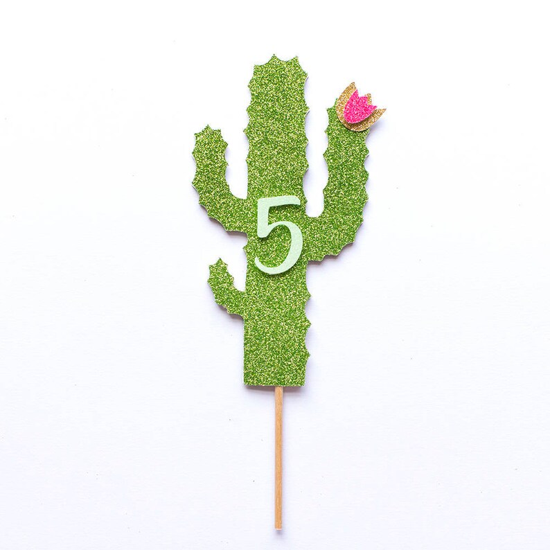 Cactus Fiesta Themed Birthday Cake Toppers. Custom Name and | Etsy