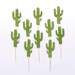 Cactus Themed Birthday Decorations. Custom Name Cake Topper. - Etsy