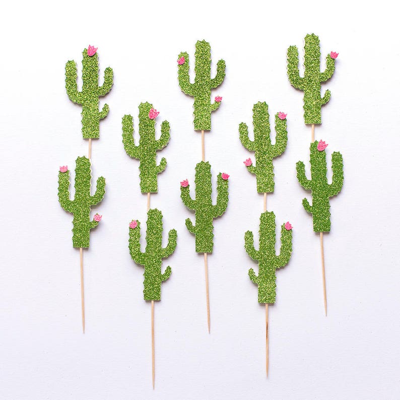 Cactus Themed Birthday Decorations. Custom Name Cake Topper. - Etsy