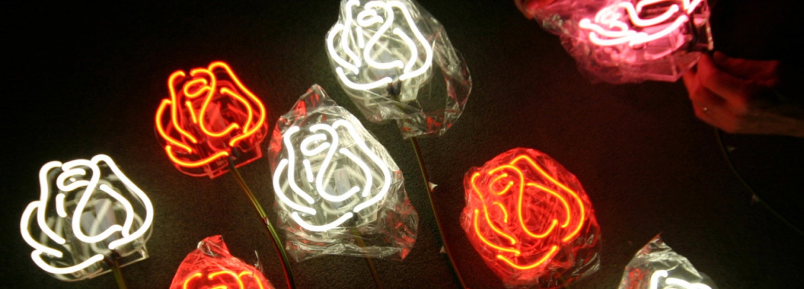 Neon Roses - Etsy
