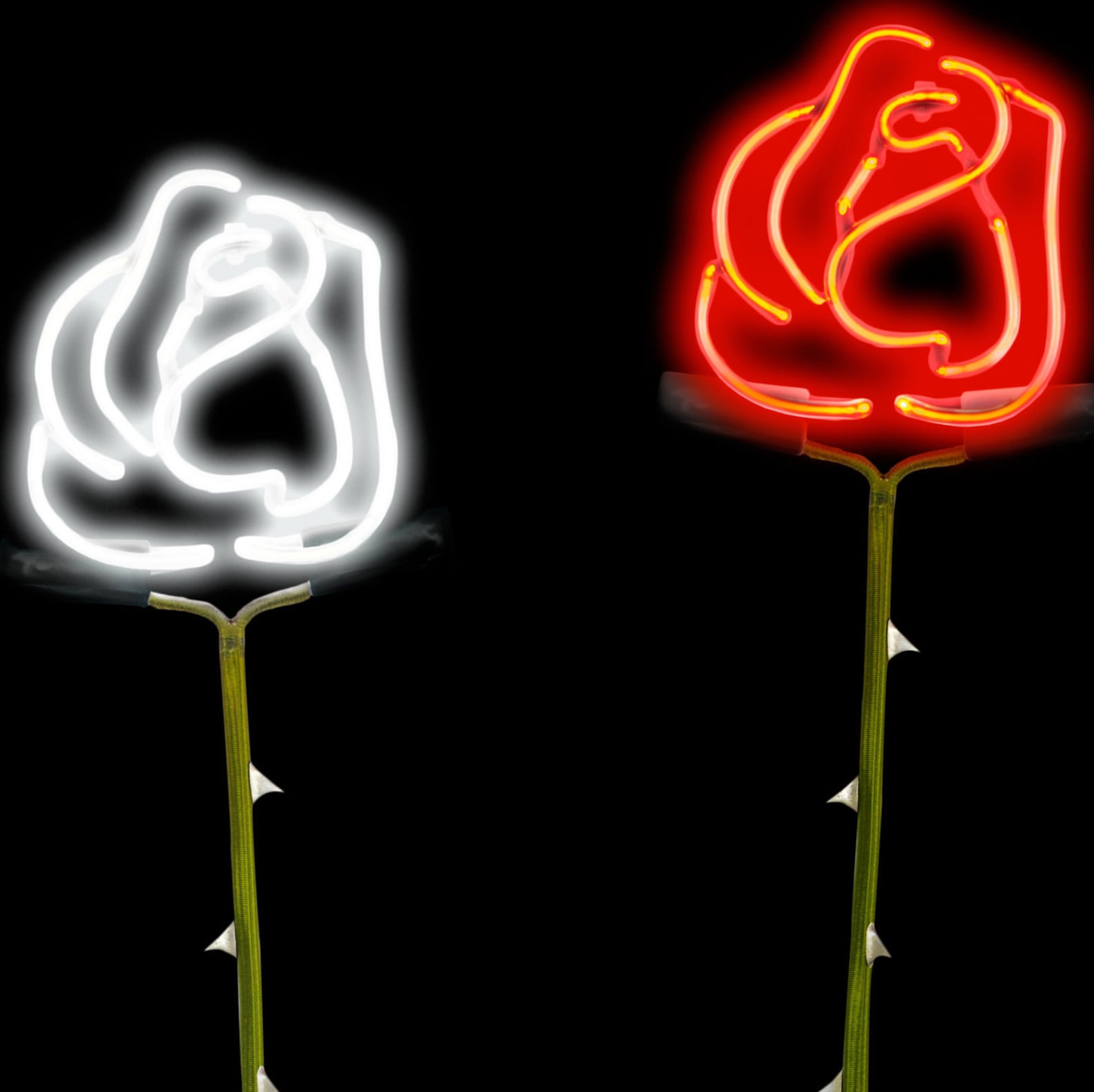 Neon Roses - Etsy