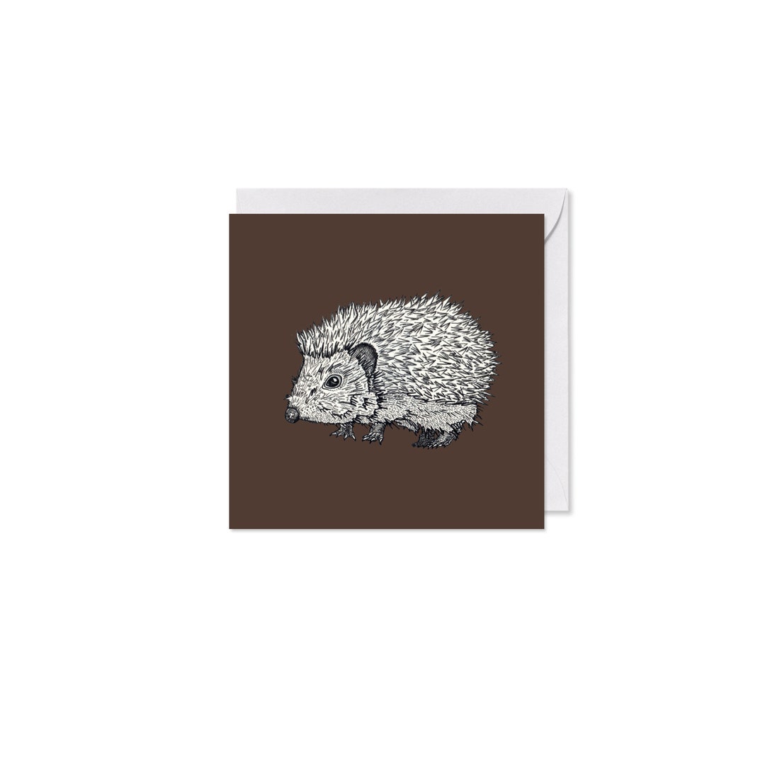 GREETING CARD louis, the Little Hedgehog, 14 X 14 Cm - Etsy