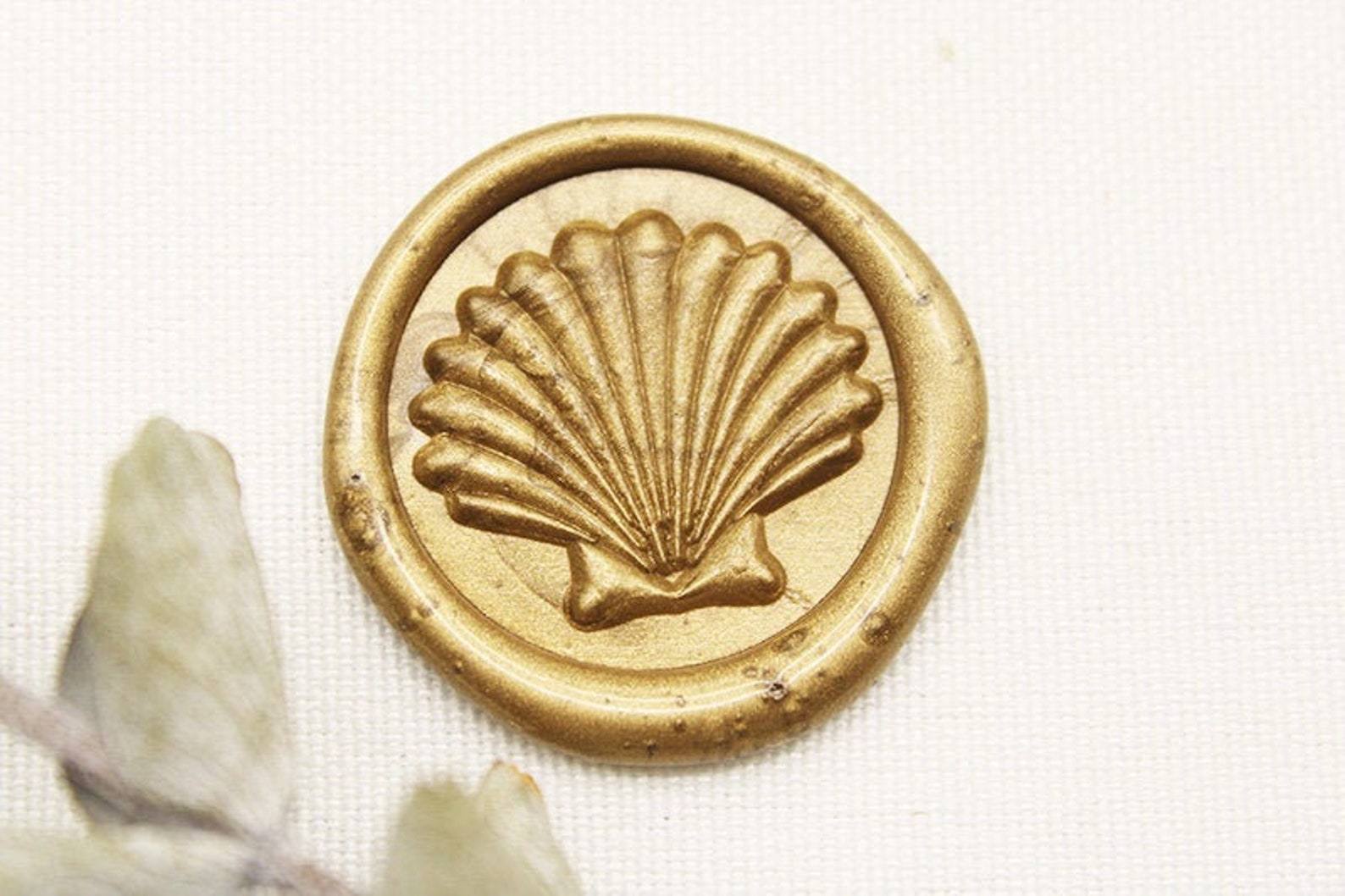 3D Shells Ocean Beach Wax Seal Stamp Seashell wax seal | Etsy