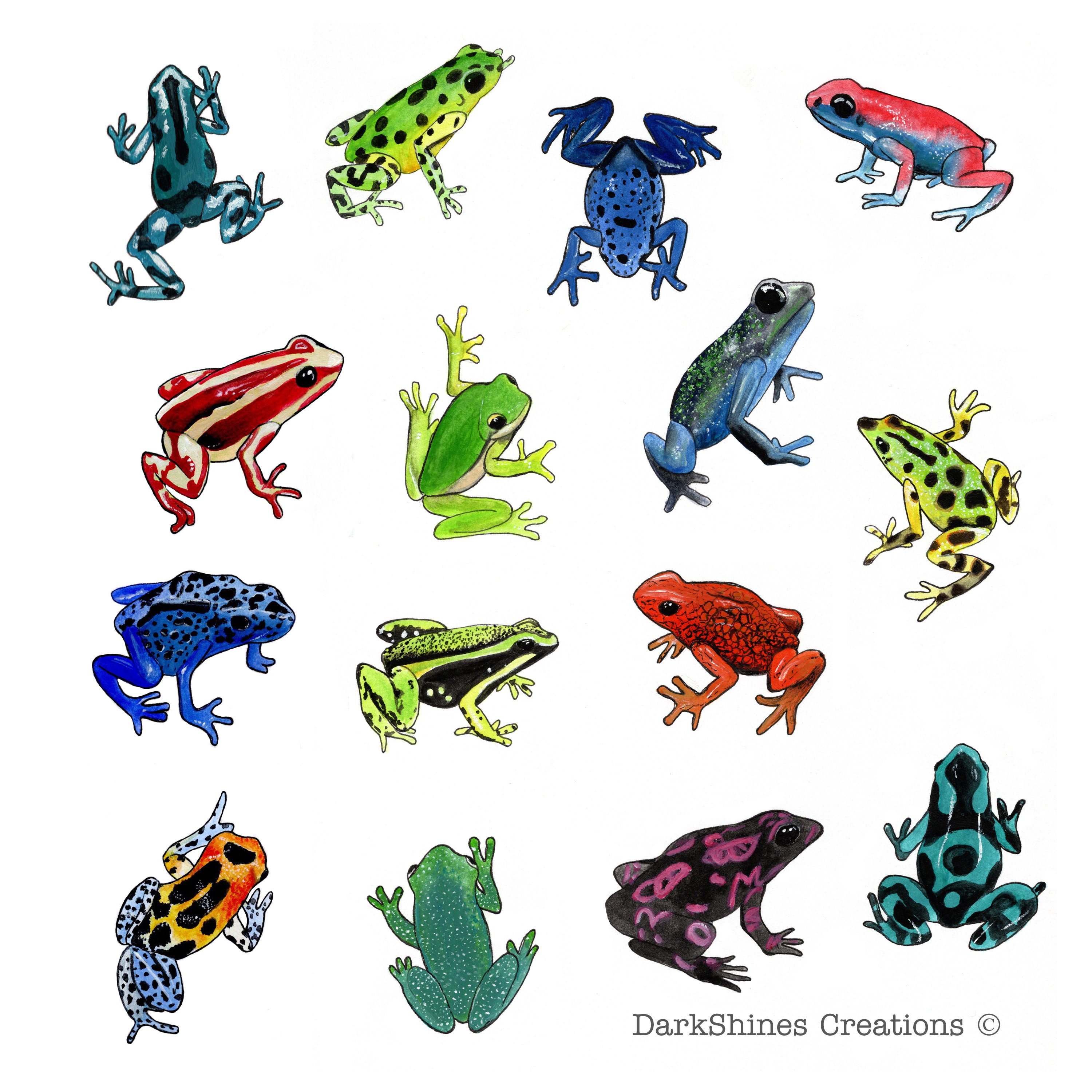 Art & Collectibles Ink Frog wall decor Tropical art Bright wall art ...