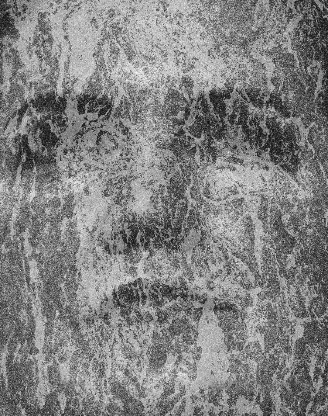 Inner Knowledge Double Exposure Unframed Print Tree Bark Art - Etsy