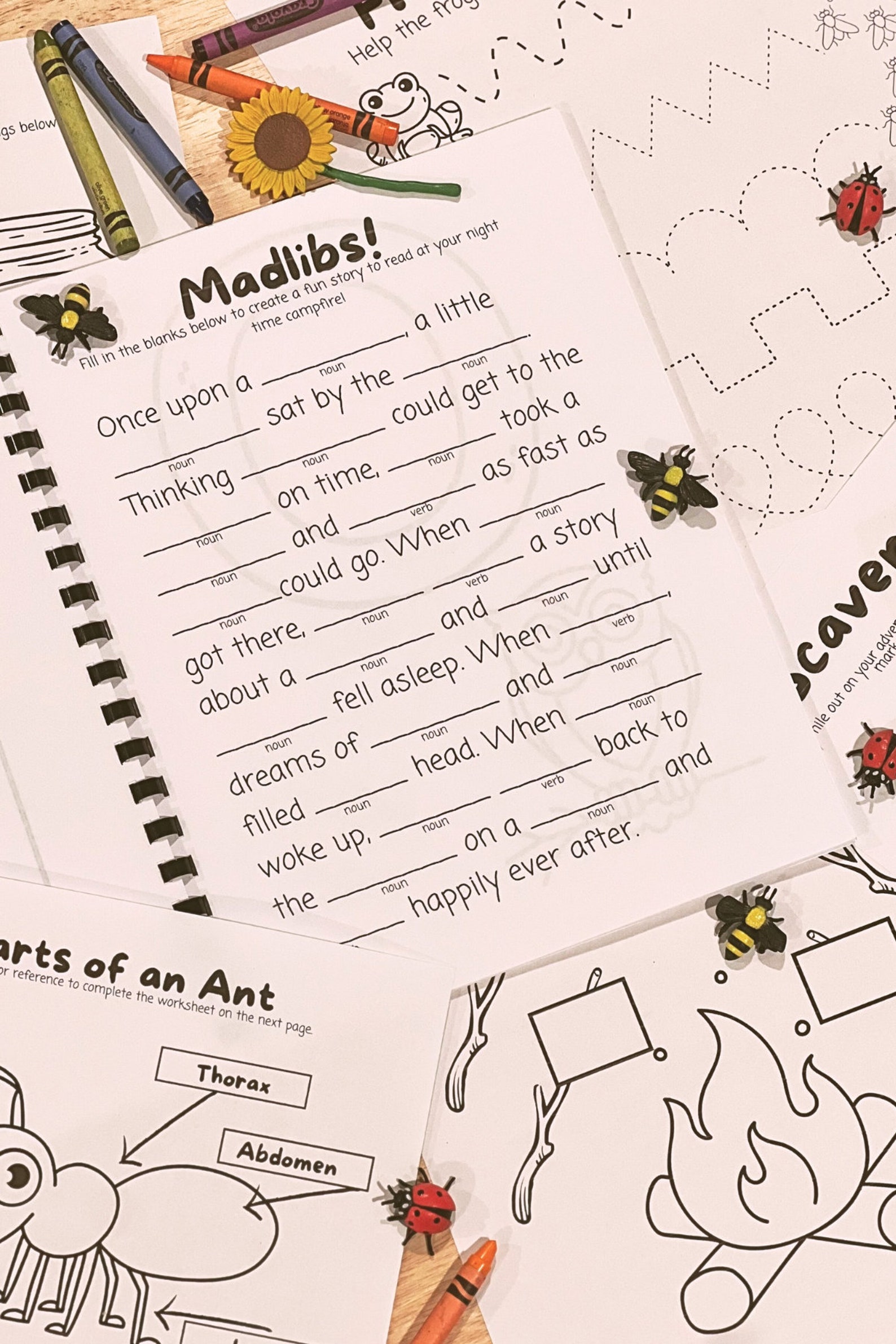 Interactive Notebook, Printables, Notebook, Camping Unit - Etsy