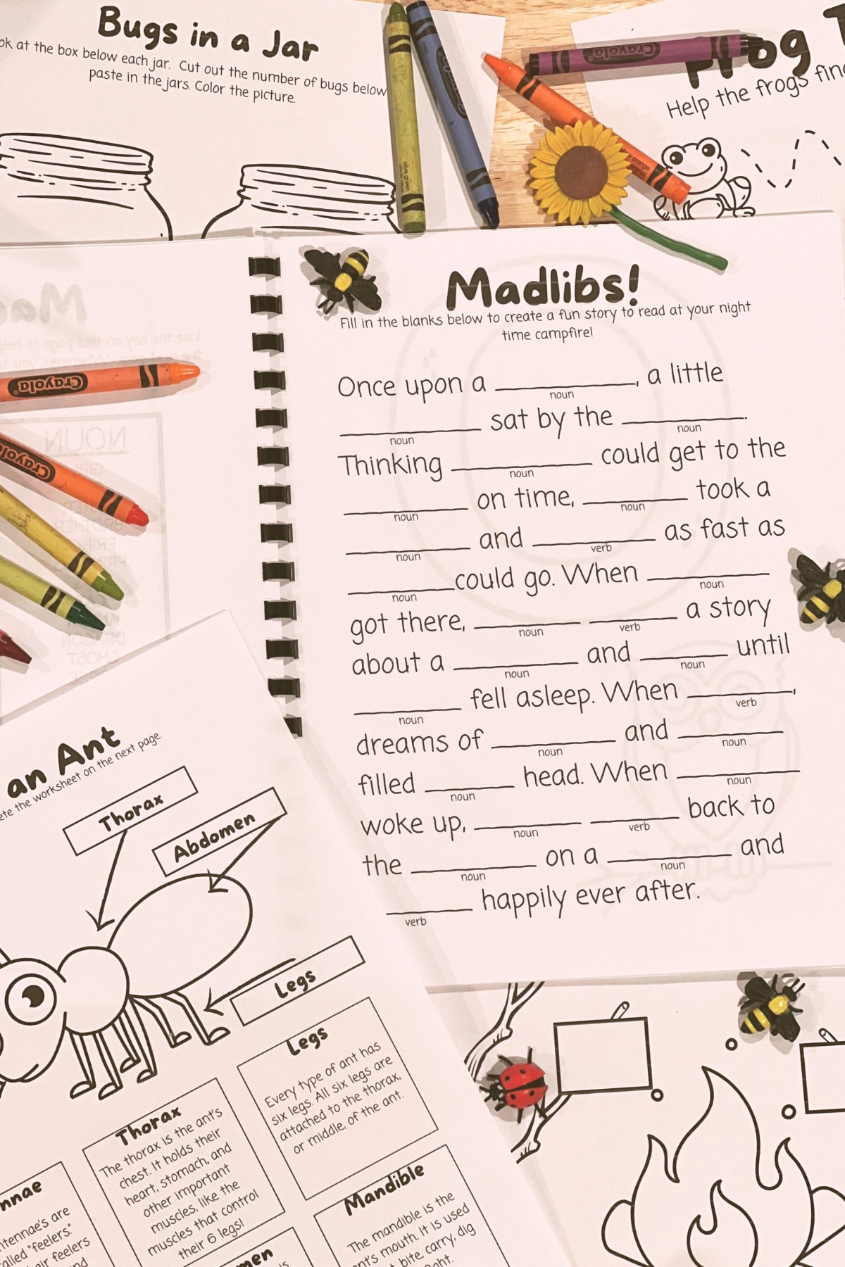 Interactive Notebook, Printables, Notebook, Camping Unit - Etsy