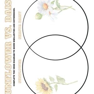 Springtime Learning Pack, Spring Printables, Preschool Printables ...