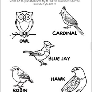 Interactive Notebook, Printables, Notebook, Camping Unit - Etsy