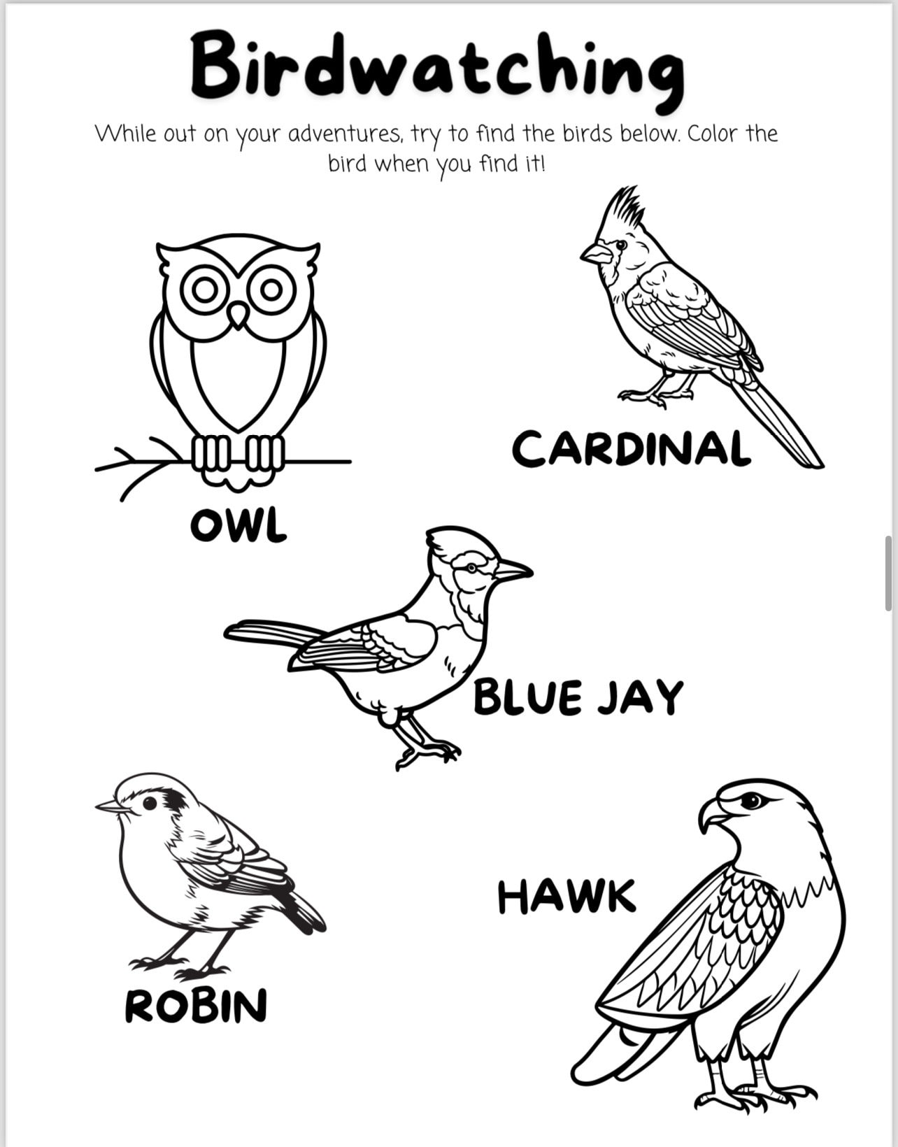 Interactive Notebook, Printables, Notebook, Camping Unit - Etsy