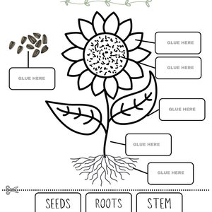Springtime Learning Pack, Spring Printables, Preschool Printables ...