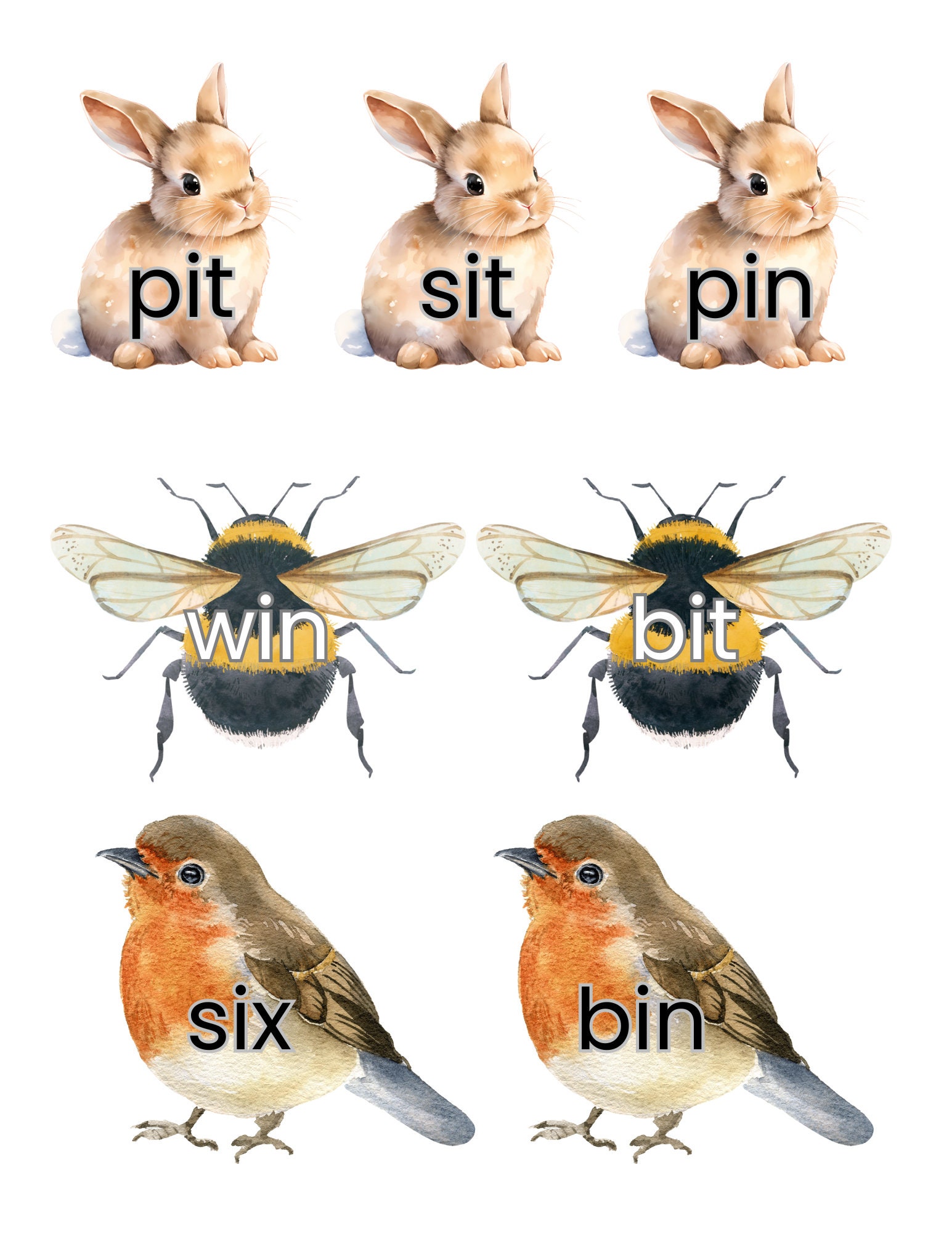 Spring CVC Cards, CVC Practice, CVC Flash Cards, Spring Animal Sensory ...