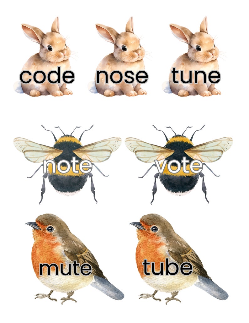 Spring CVCE Flash Cards, Consonant Blend Practice, Sight Word Practice ...